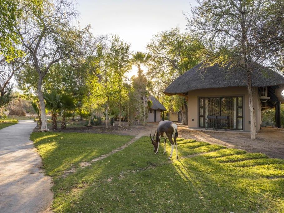 Mokuti Etosha Lodge - Vámonos Travels